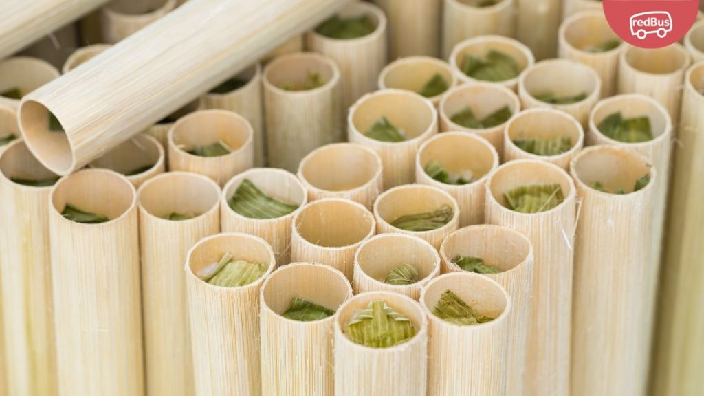 How to Plan Your Sapa Tour: Top Things to Do in Sapa - Vietnam Travel Blog