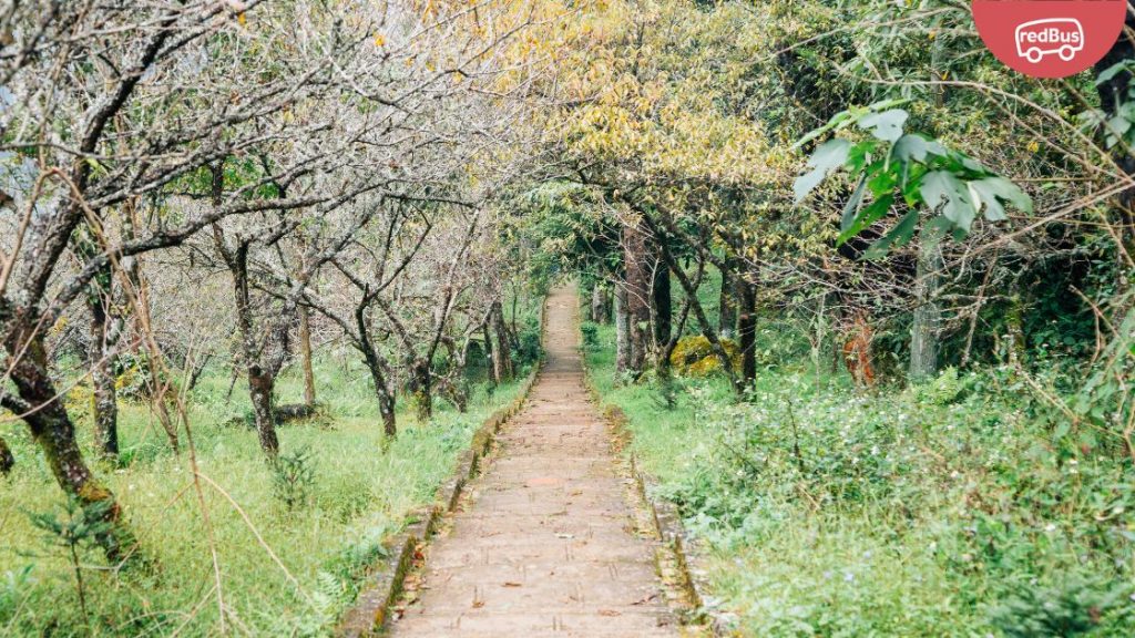 How to Plan Your Sapa Tour: Top Things to Do in Sapa - Vietnam Travel Blog