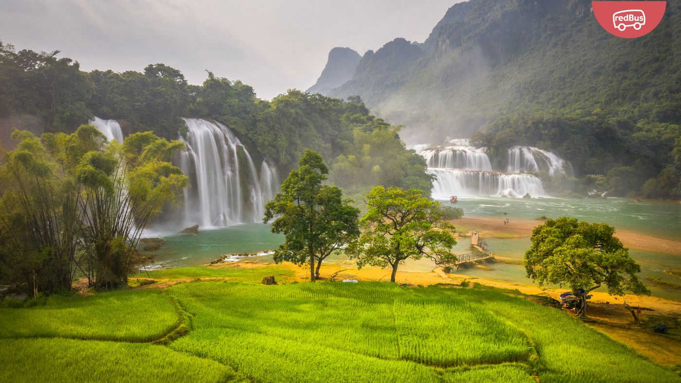 Ban Gioc Waterfalls : All You Need to Know - Vietnam Travel Blog