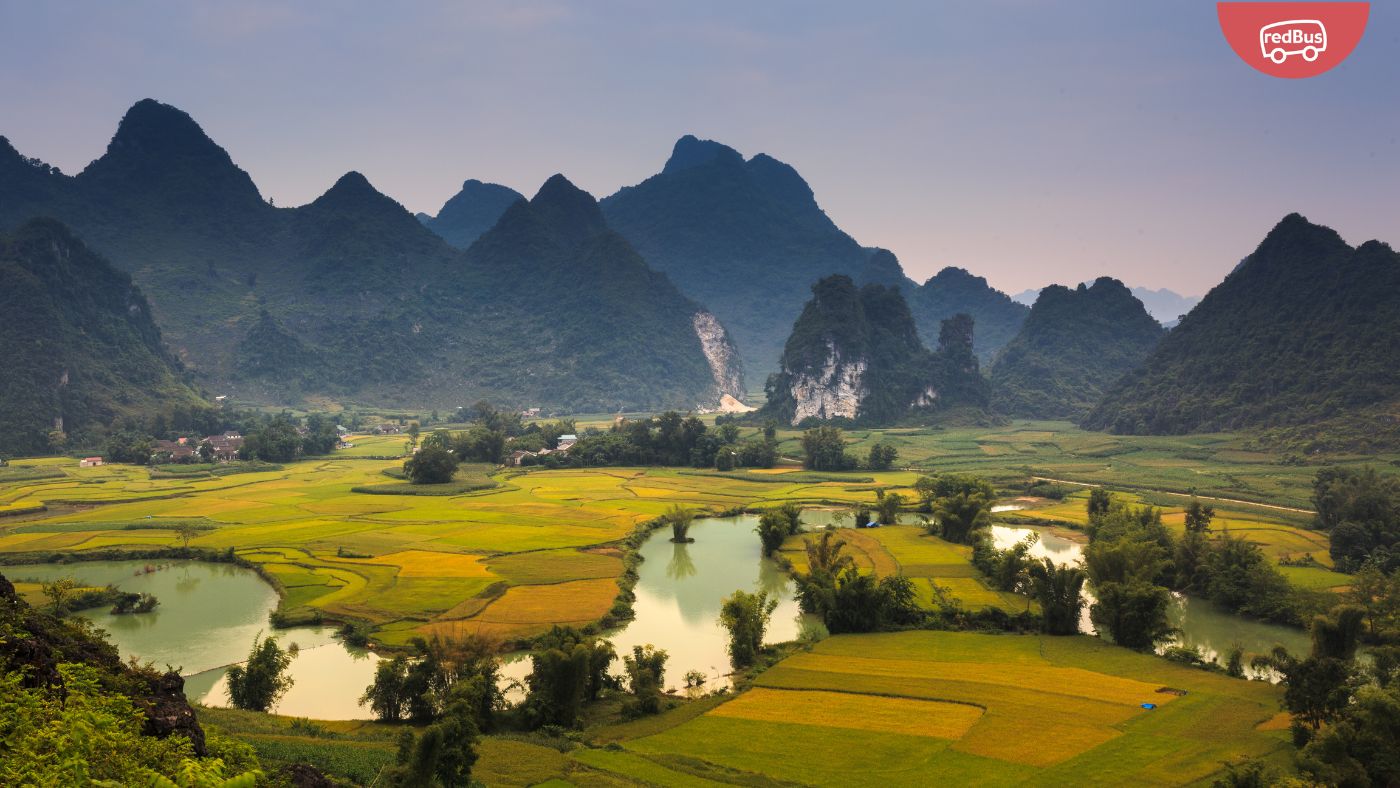Ban Gioc Waterfalls : All You Need to Know - Vietnam Travel Blog