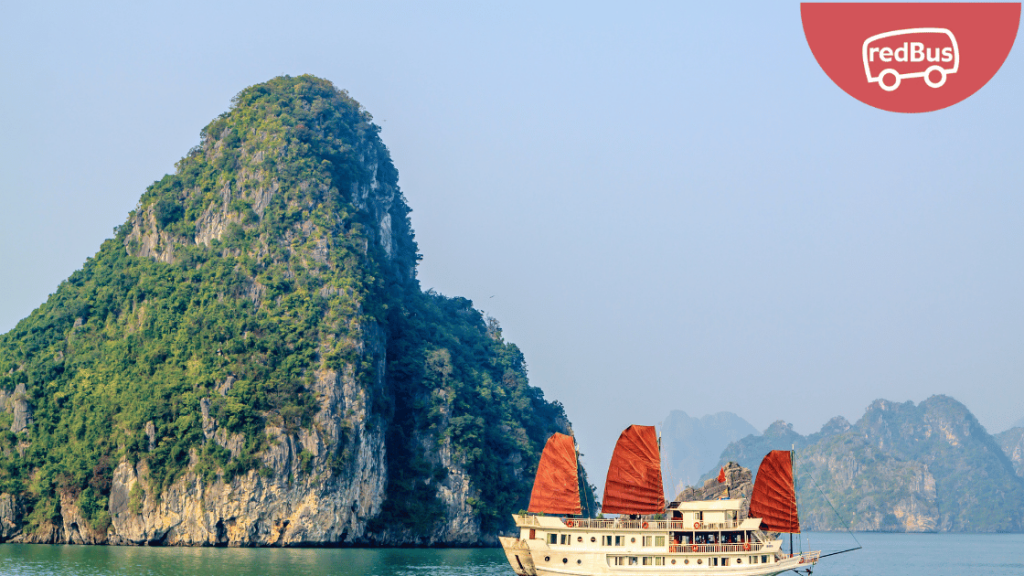 Ha long Bay travel: Which food tour and bus route the best?